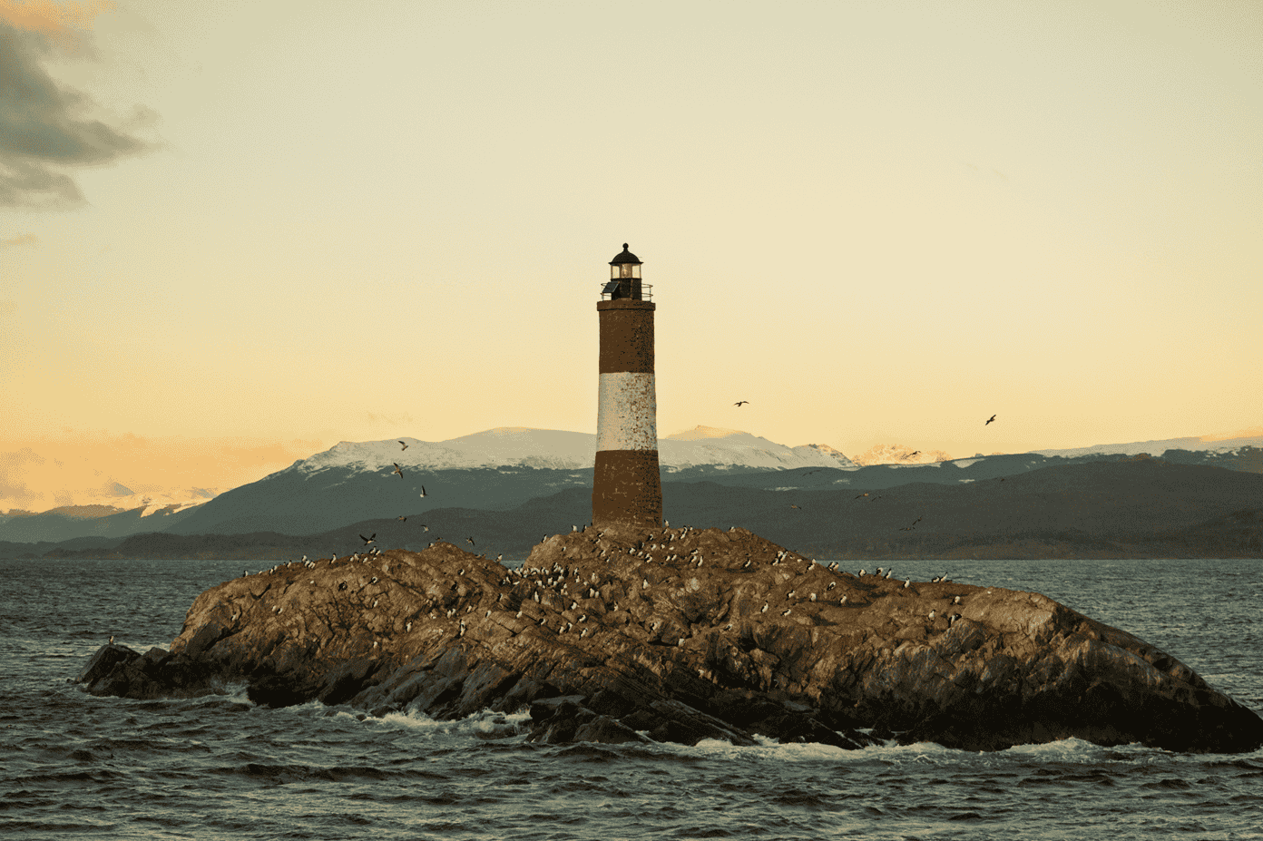 Fuegia Tours | Traslados en Ushuaia con atención personalizada